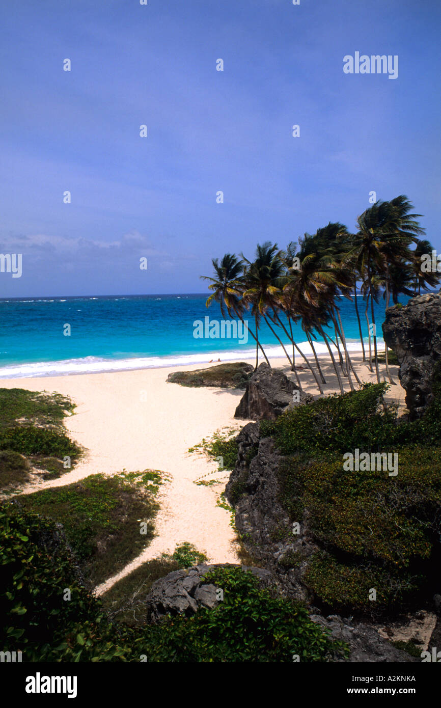 Beautiful Plam Trees and beach at Bottom bay on the east Coast of ...