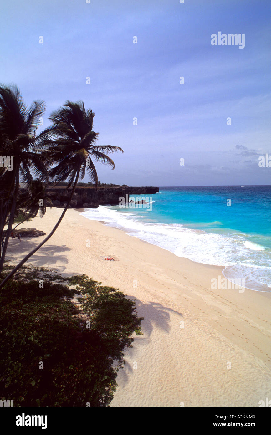 Beautiful Plam Trees and beach at Bottom bay on the east Coast of ...