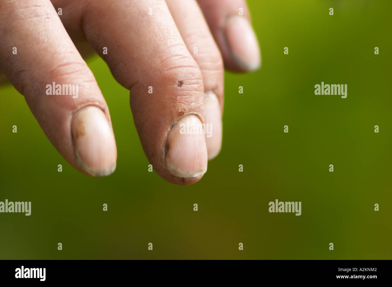 The winemaker's hand of Christian Vache, owner. Domaine la Monardiere ...