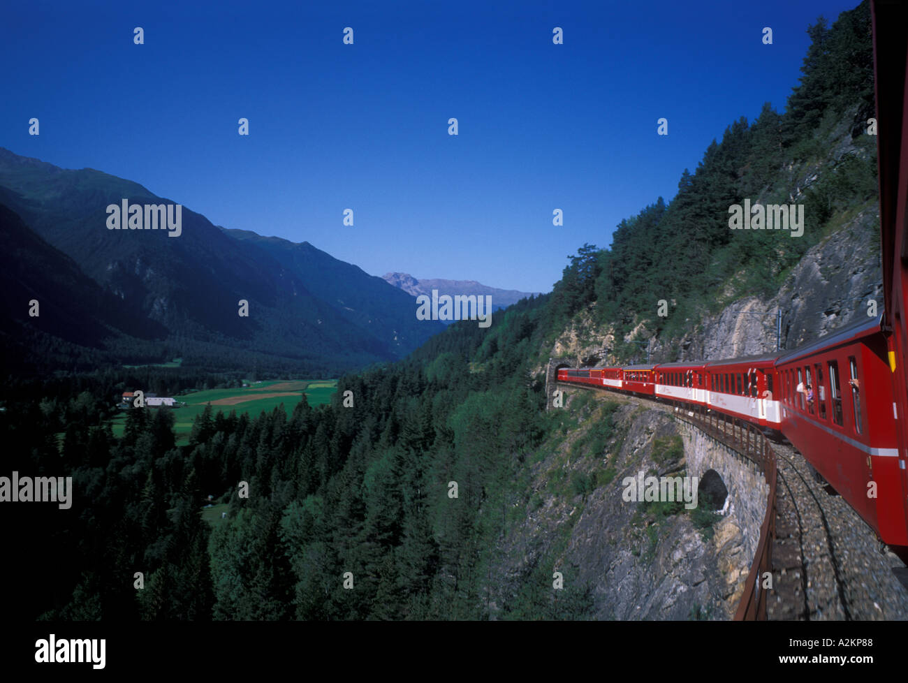 Alpine Snakes High Resolution Stock Photography and Images - Alamy