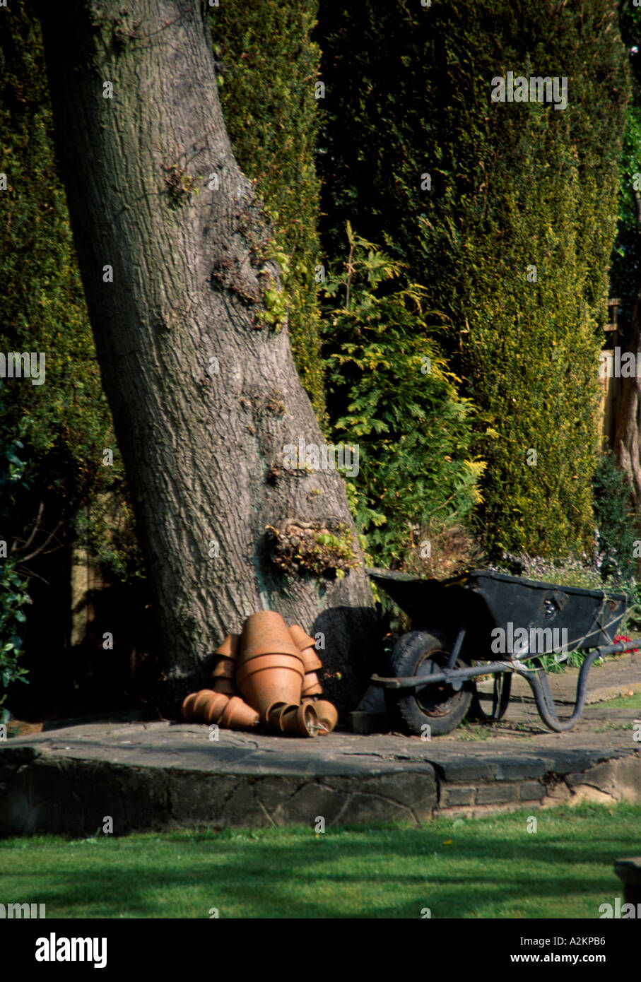 Wheel barrow by tree Stock Photo - Alamy