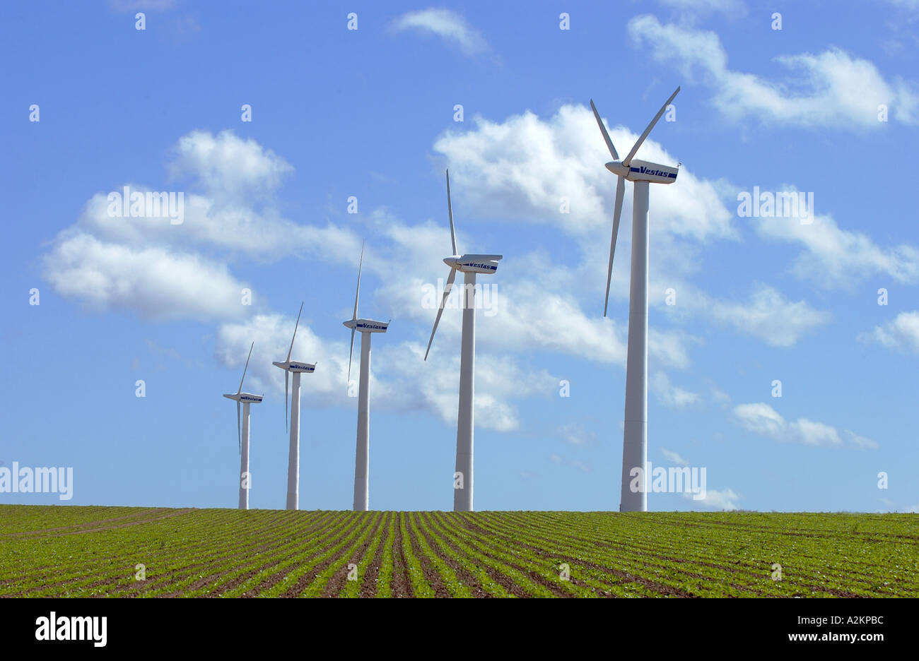 Norfolk Wind Turbines Stock Photo - Alamy