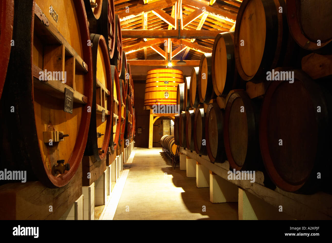 The aging cellar with oak barrels and larger wooden vats. Chateau de ...