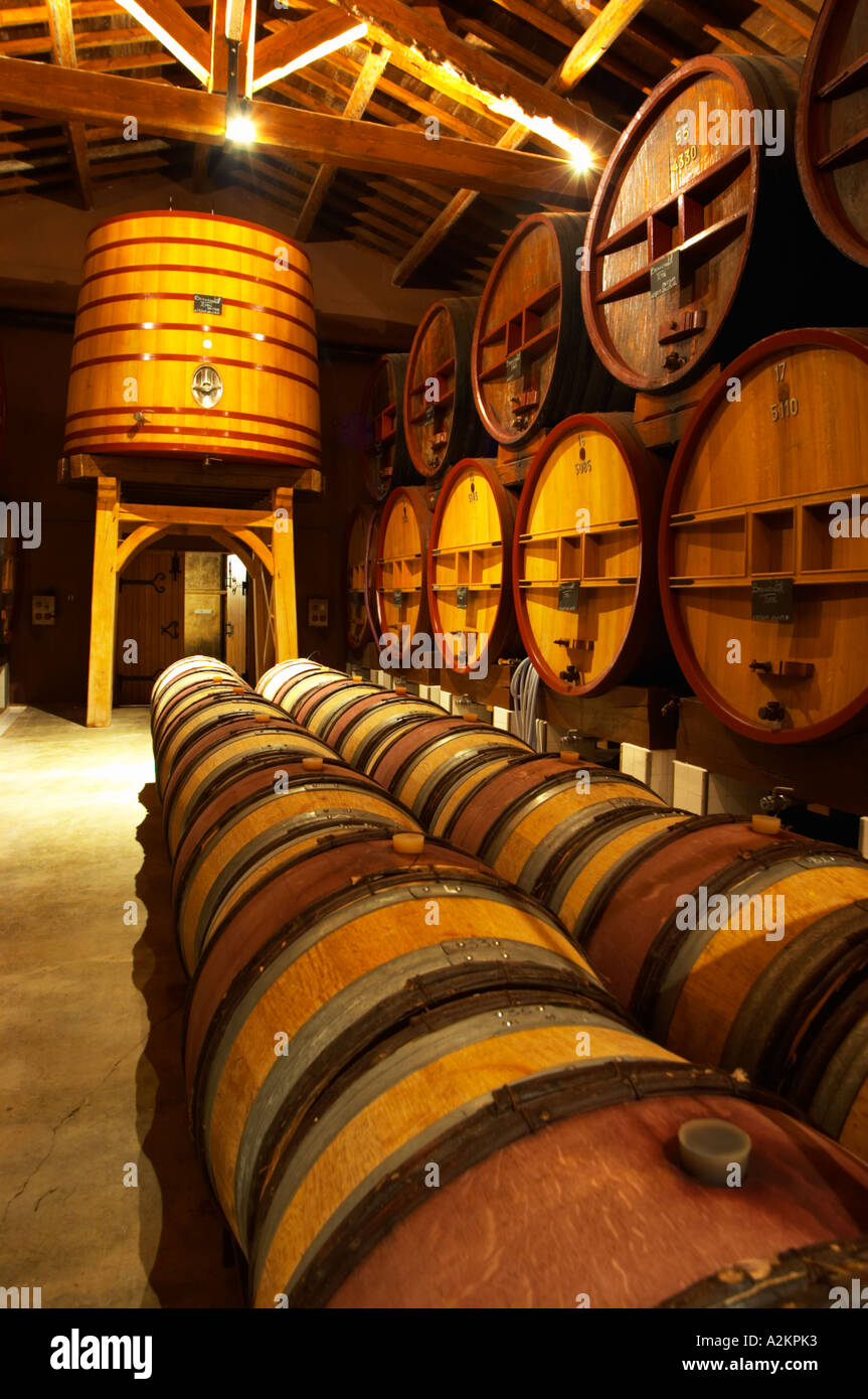 The aging cellar with oak barrels and larger wooden vats. Chateau de ...