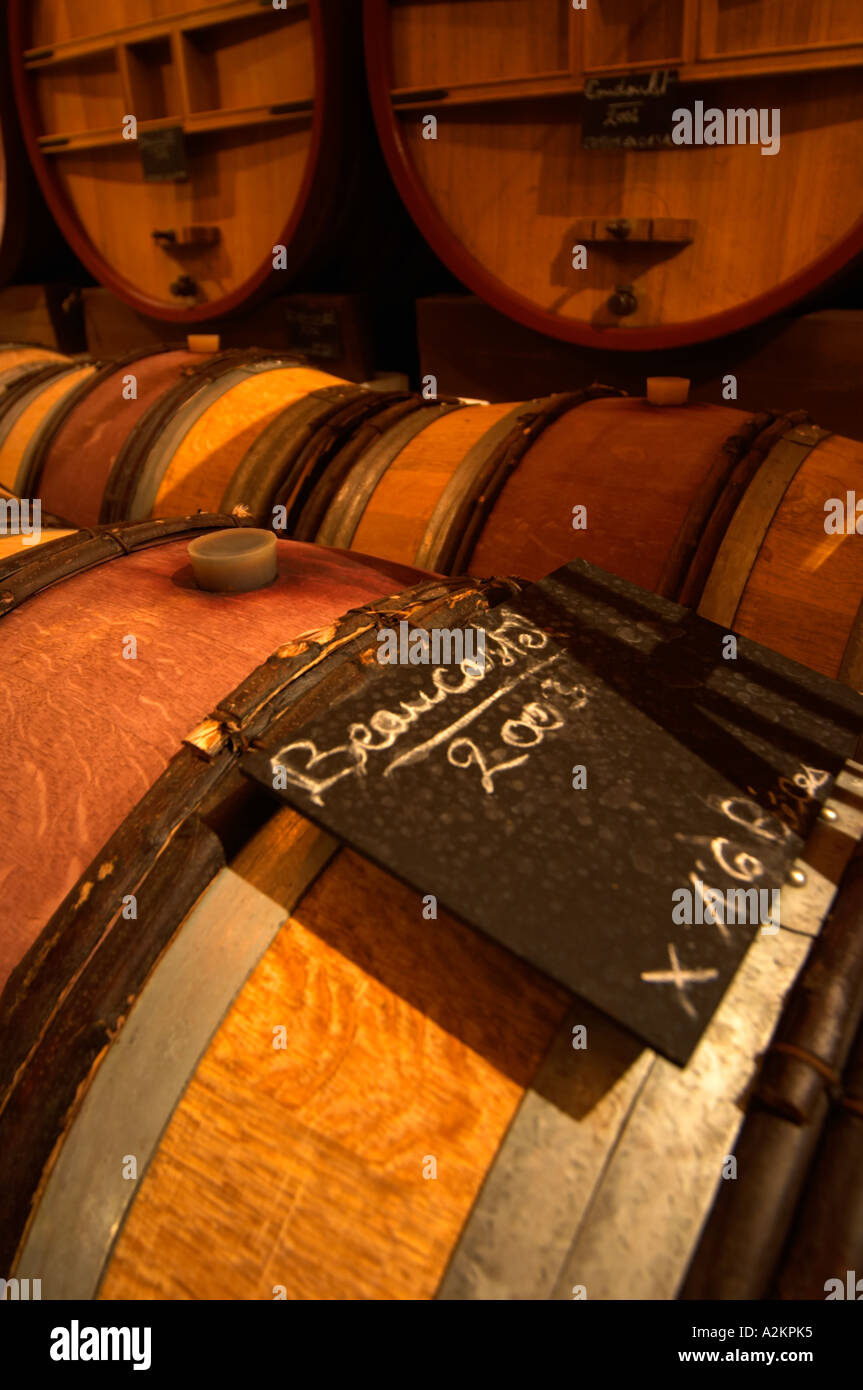 The aging cellar with oak barrels and larger wooden vats. Sign on chalk ...
