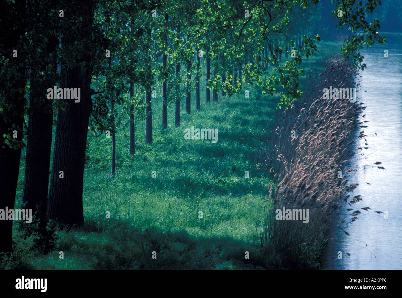 Europe, France, Burgundy, Burgundy Canal Stock Photo - Alamy