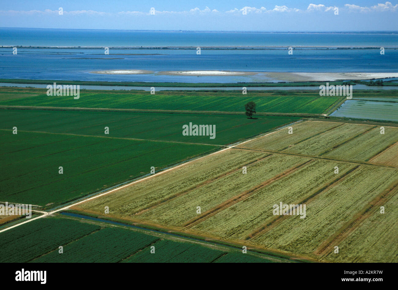 Goro hi-res stock photography and images - Alamy