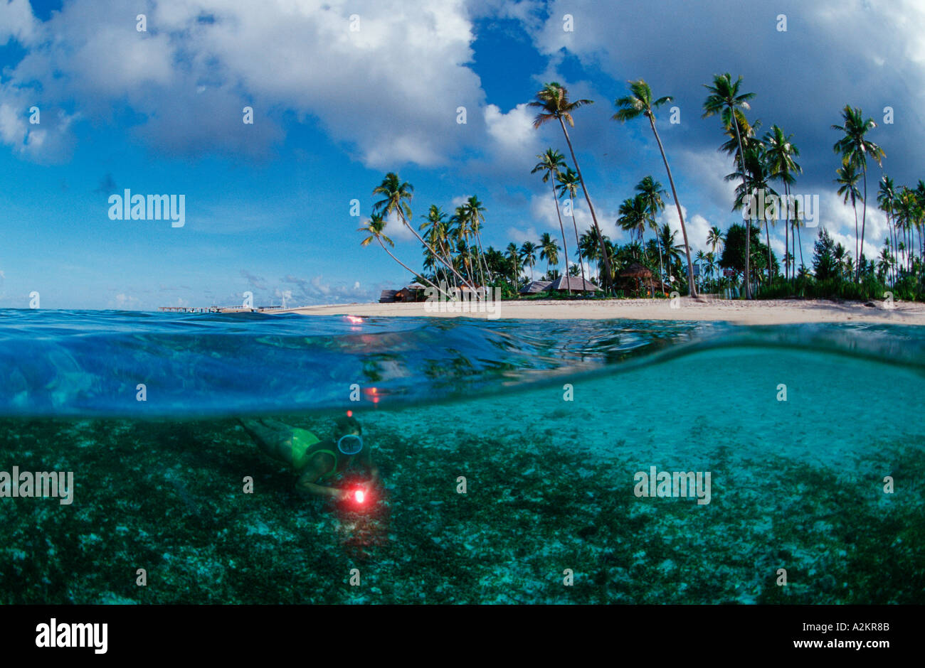 snorkeling in front of tropical island Stock Photo - Alamy