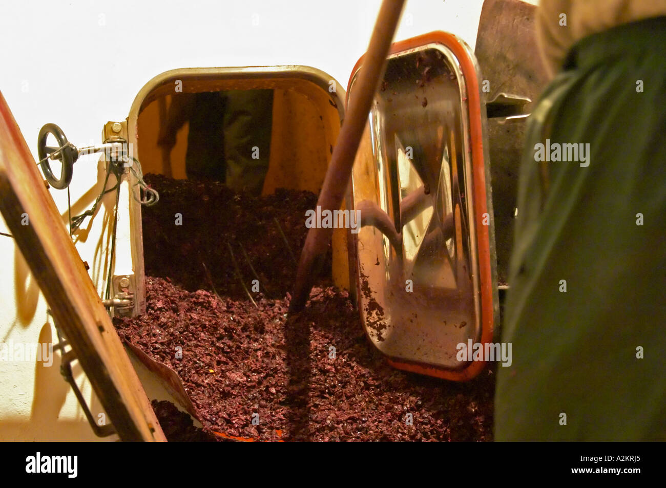 In the winery a man raking out what remains after emptying the wine ...