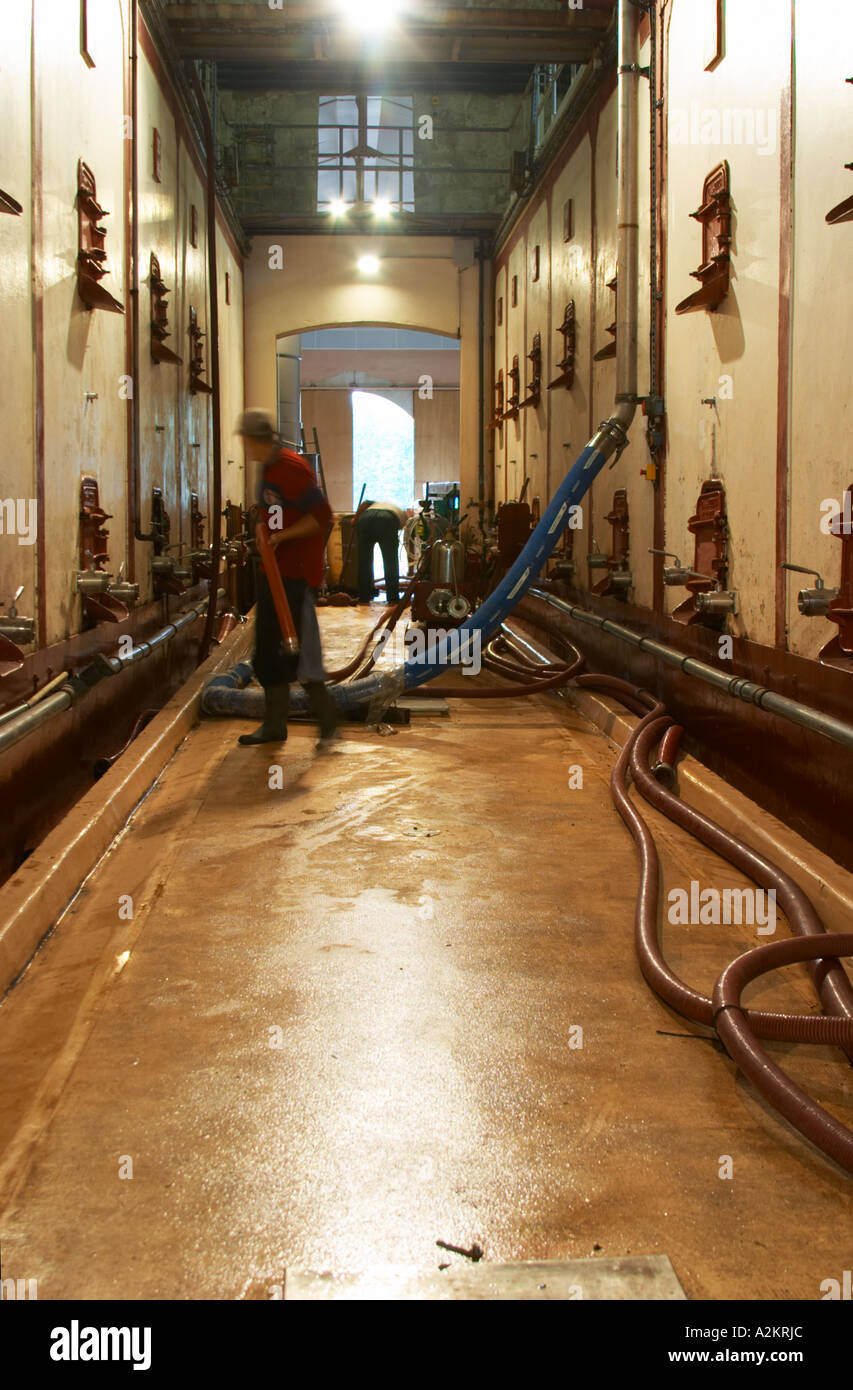 In the winery, concrete fermentation tanks and men working with pumping ...