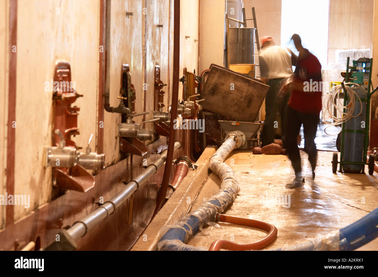 In the winery, concrete fermentation tanks and men working with pumping ...