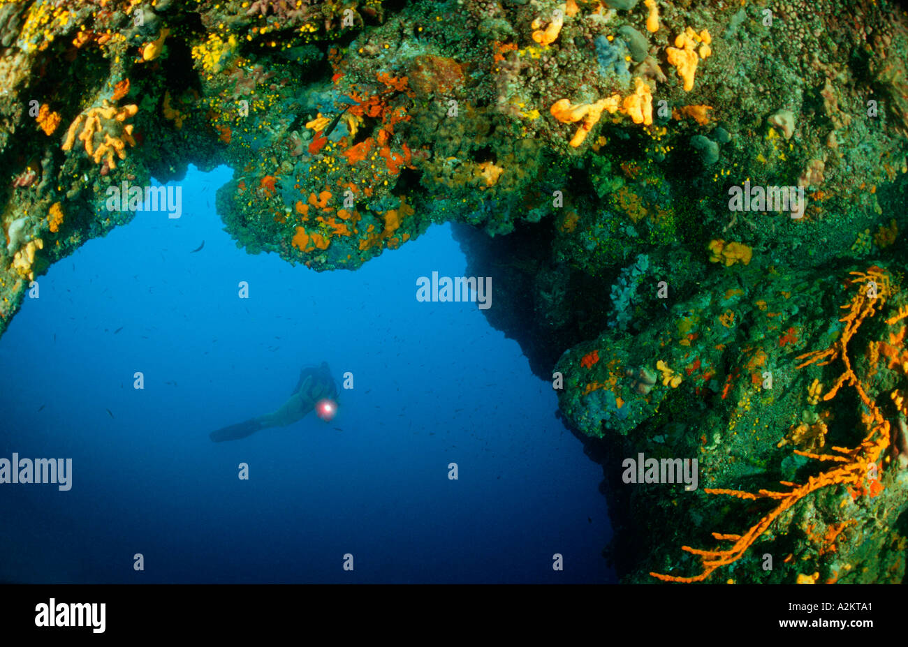 scuba diver in front of a cave, Tremiti, Itlay Stock Photo - Alamy