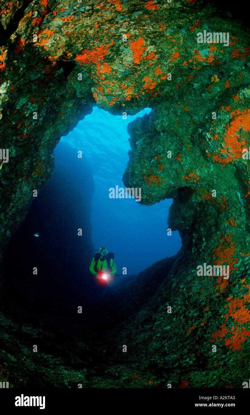 Tremiti islands diver hi-res stock photography and images - Alamy