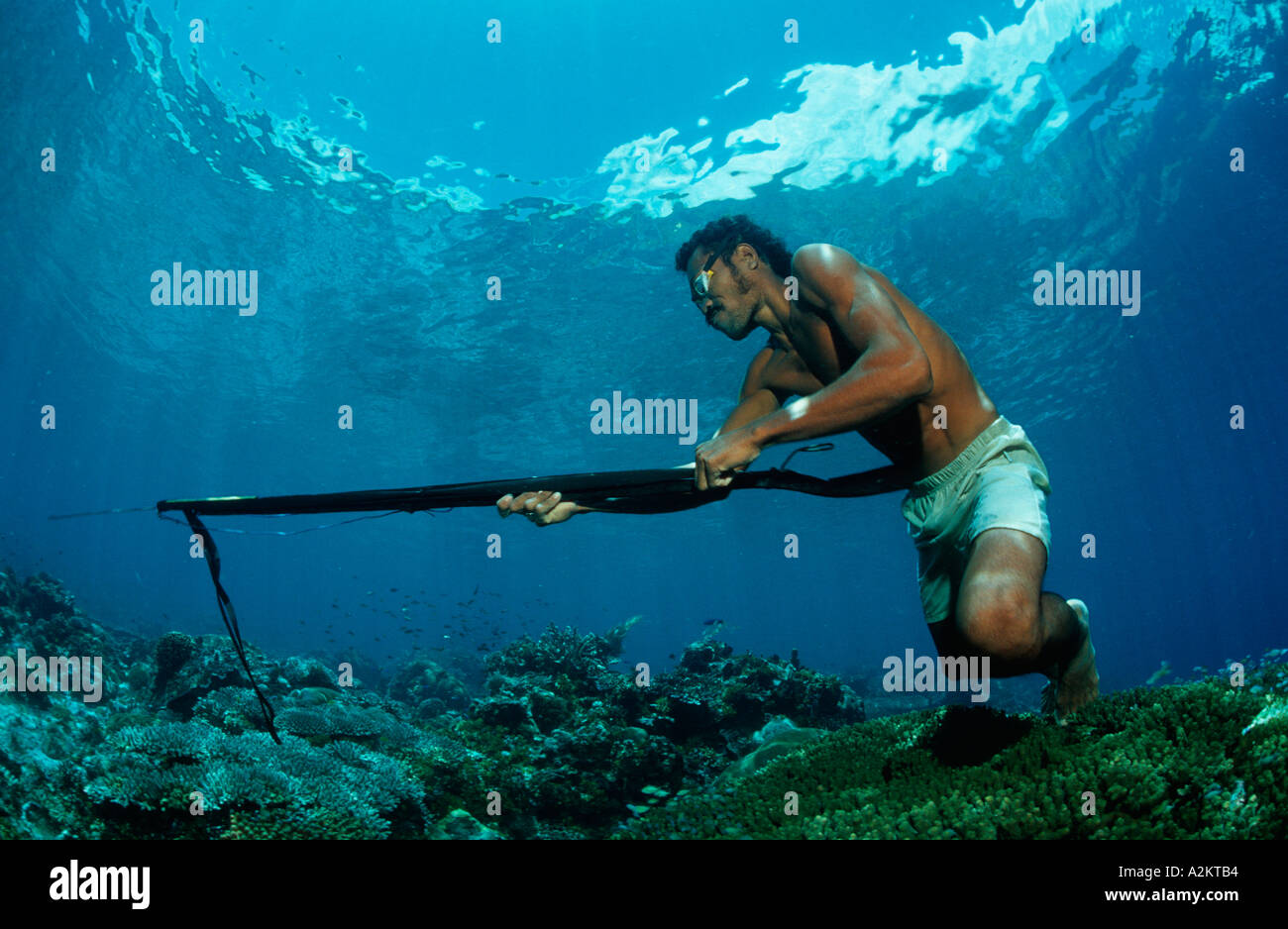 Spearfishing in coral reef Stock Photo - Alamy