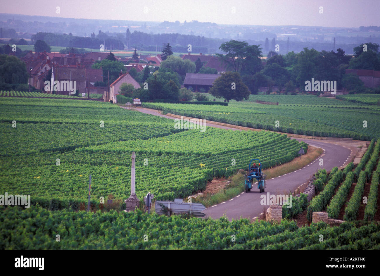 Grapevine burgundy france europe hi-res stock photography and images ...