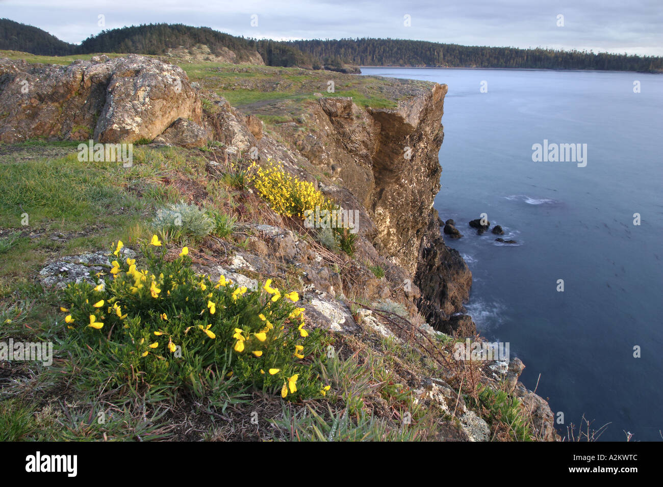 Rosario Head Fidalgo Island Deception Pass State Park Island County ...