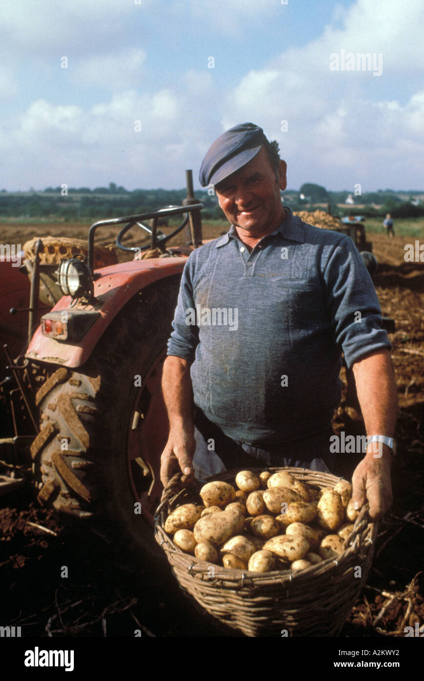 Potato pickers hi-res stock photography and images - Alamy