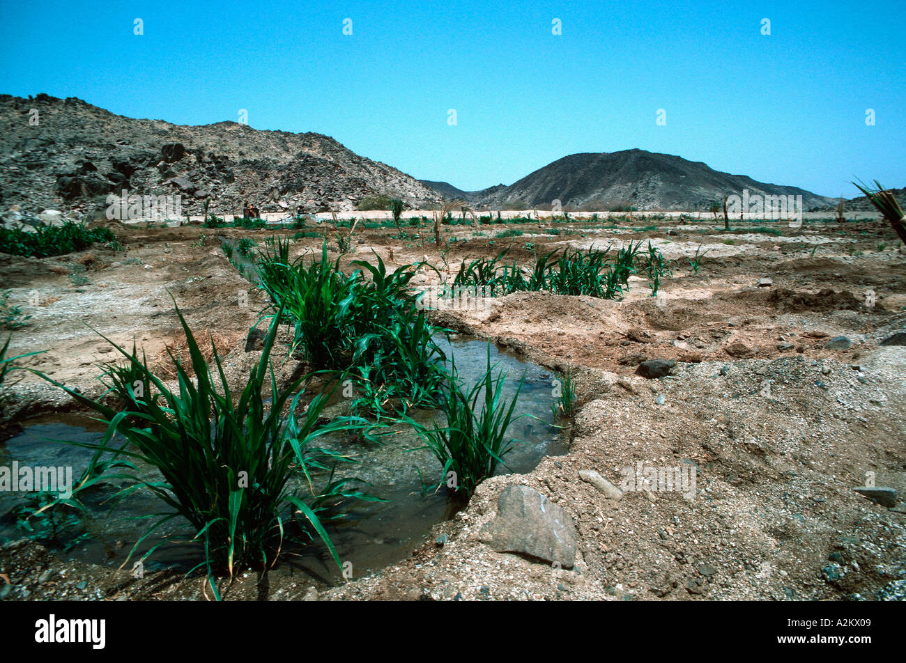 Irrigation channels saudi hi-res stock photography and images - Alamy