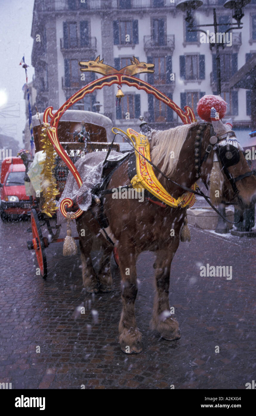 EU, France, French Alps, Chamonix, Horse and Buggy Stock Photo - Alamy