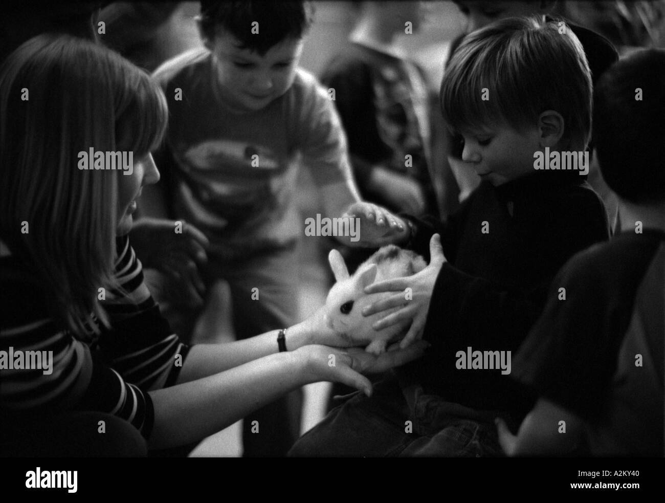 Children playing with farm animals Black and White Stock Photos ...