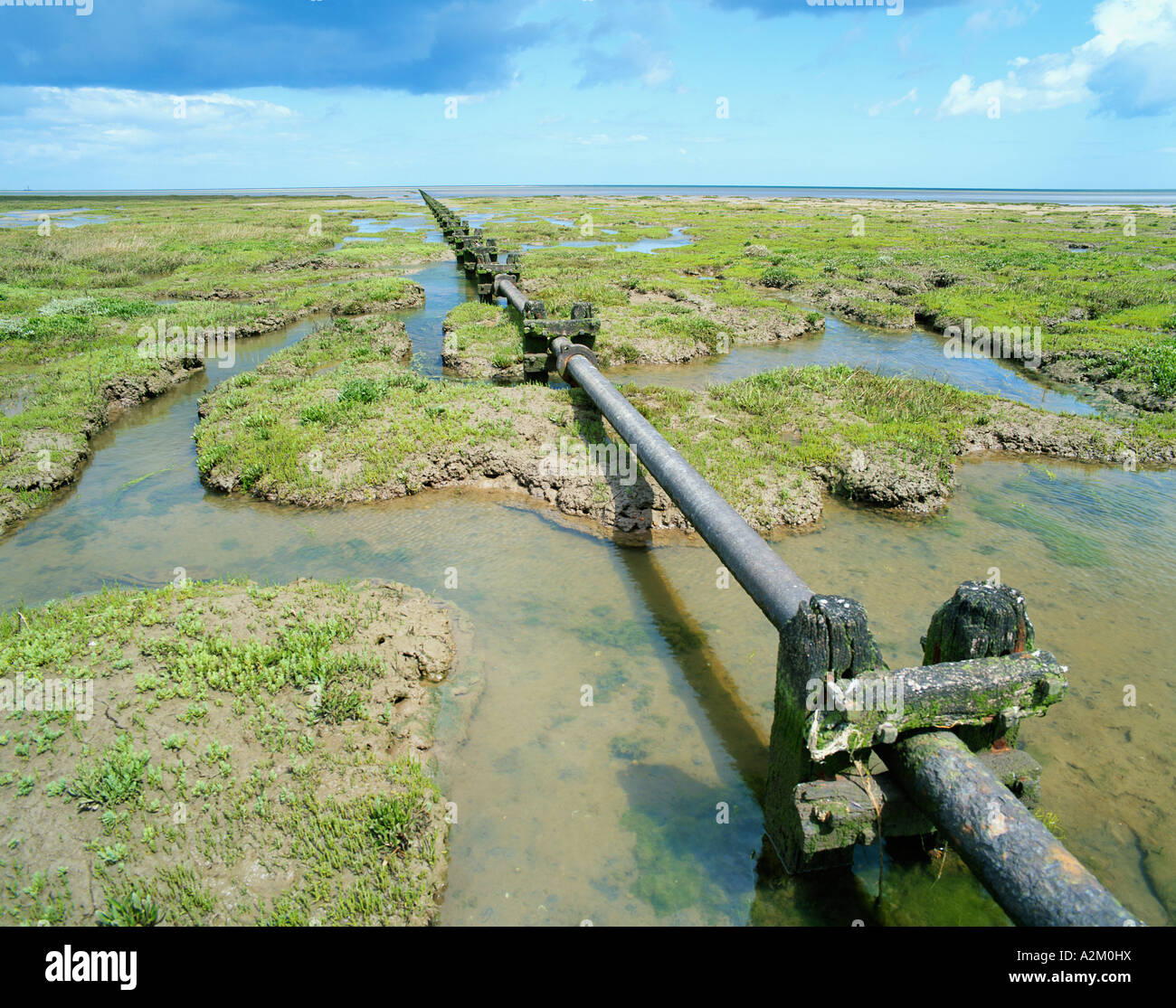 GB NORFOLK STIFFKEY SALT MARSHES Stock Photo - Alamy