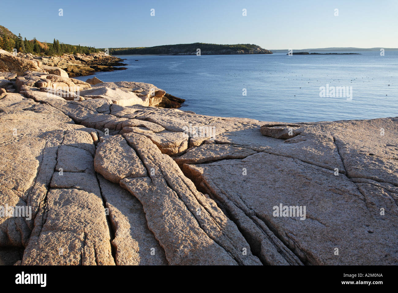 Acadia national park coastal line hi-res stock photography and images ...