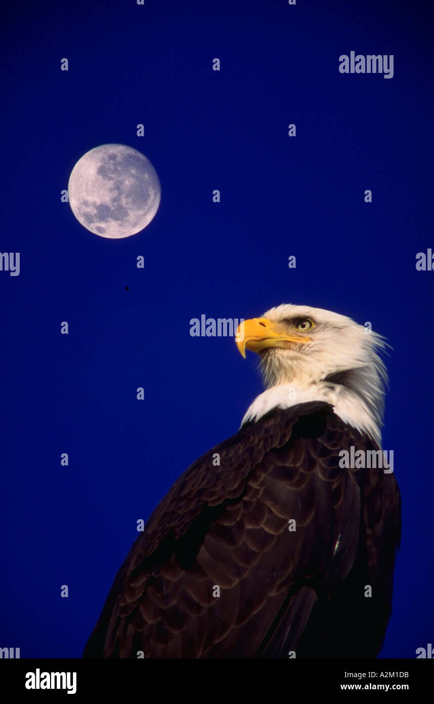 Blue moon freedom liberty hi-res stock photography and images - Alamy