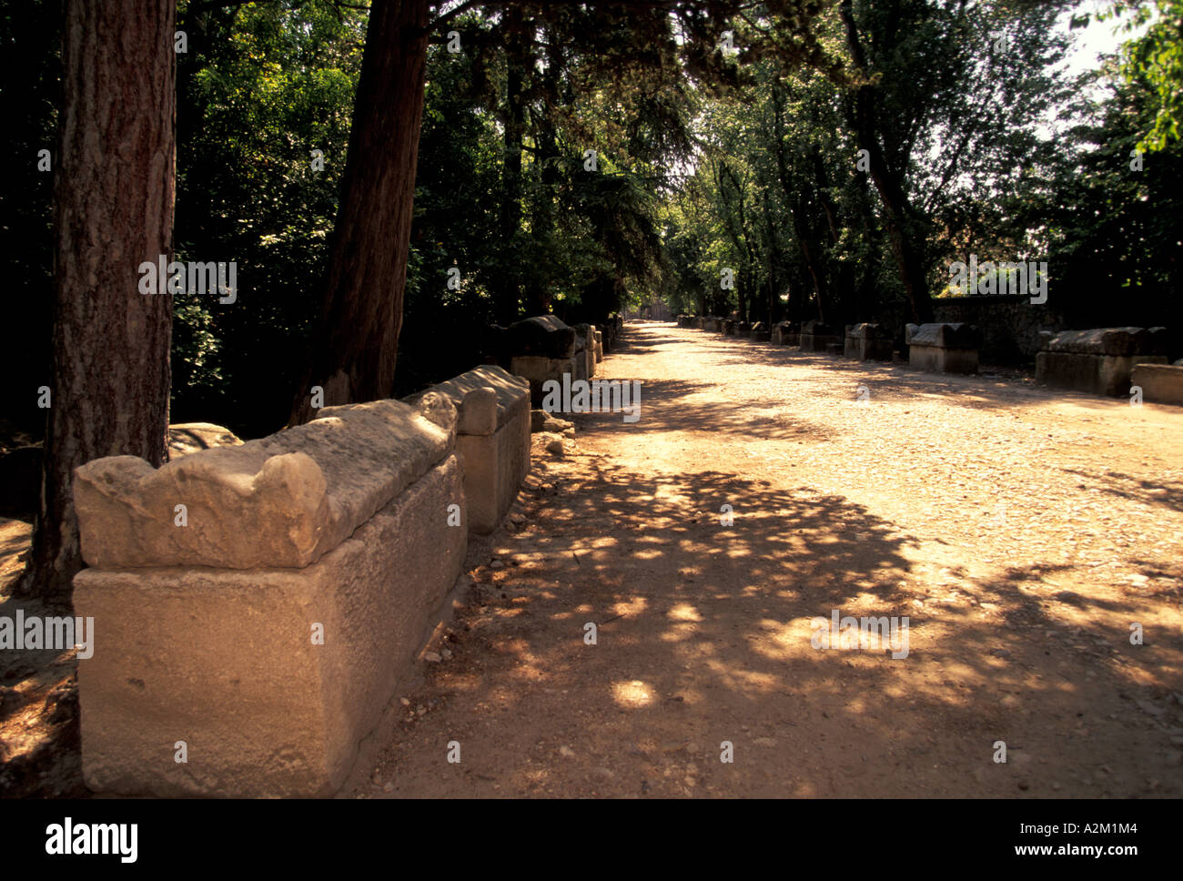 Alyscamps Necropolis Arles Provence France High Resolution Stock ...