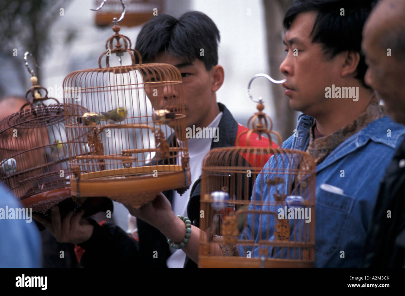 Bird market Yuen Po street Hong Kong China Asia Stock Photo - Alamy