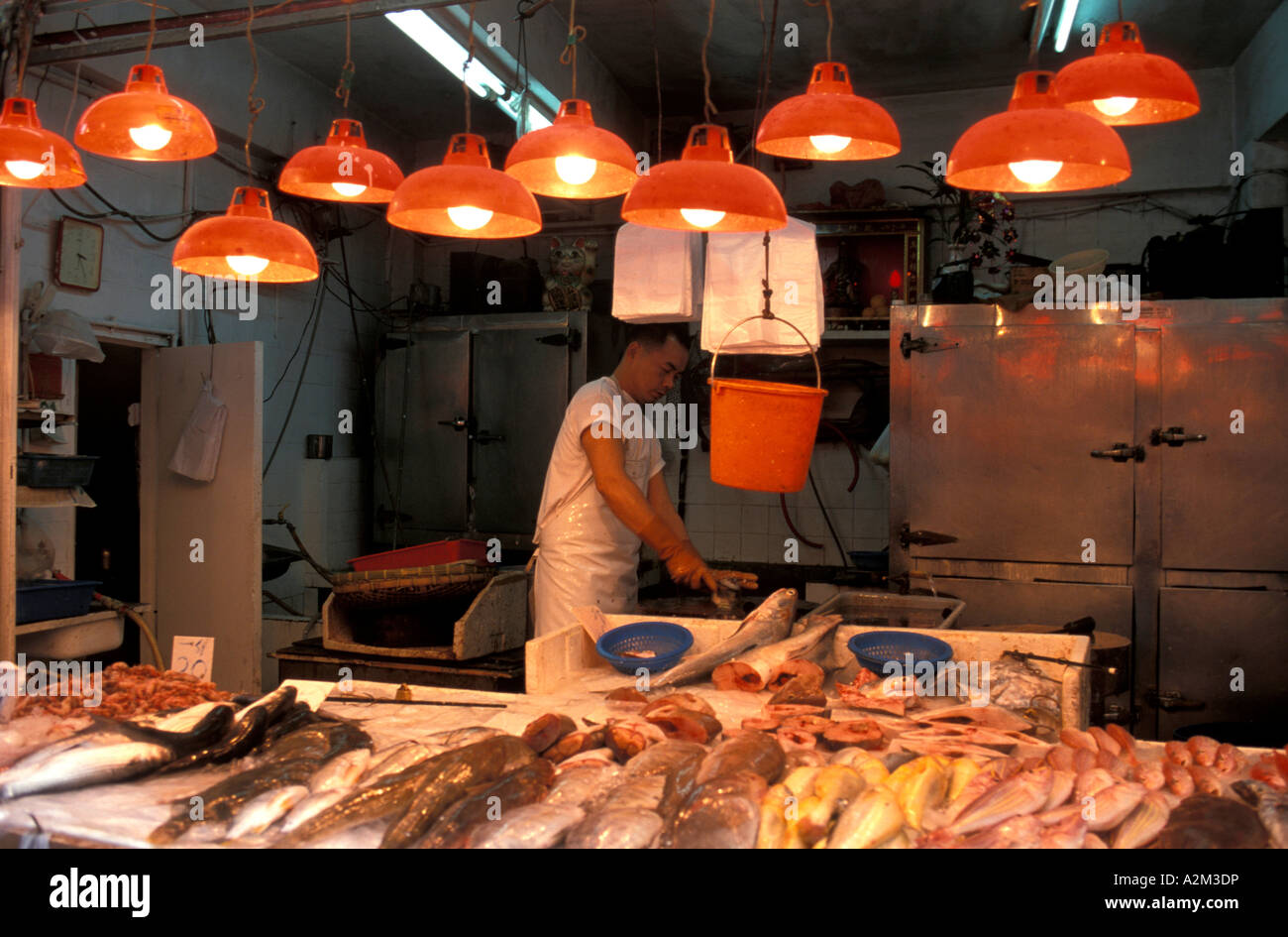 Fish stall Peel Street Hong Kong China Asia Stock Photo - Alamy