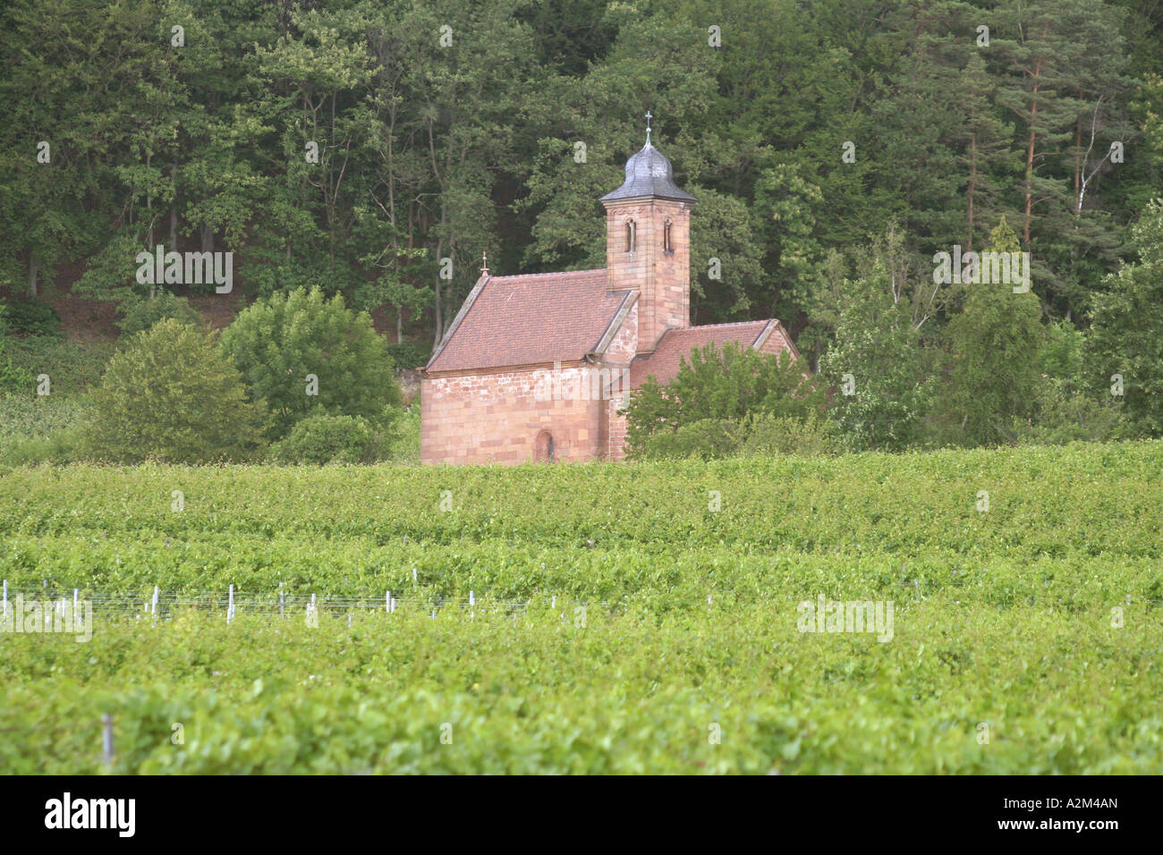 Pleisweiler Reinland Palatinate Germany Europe Stock Photo - Alamy