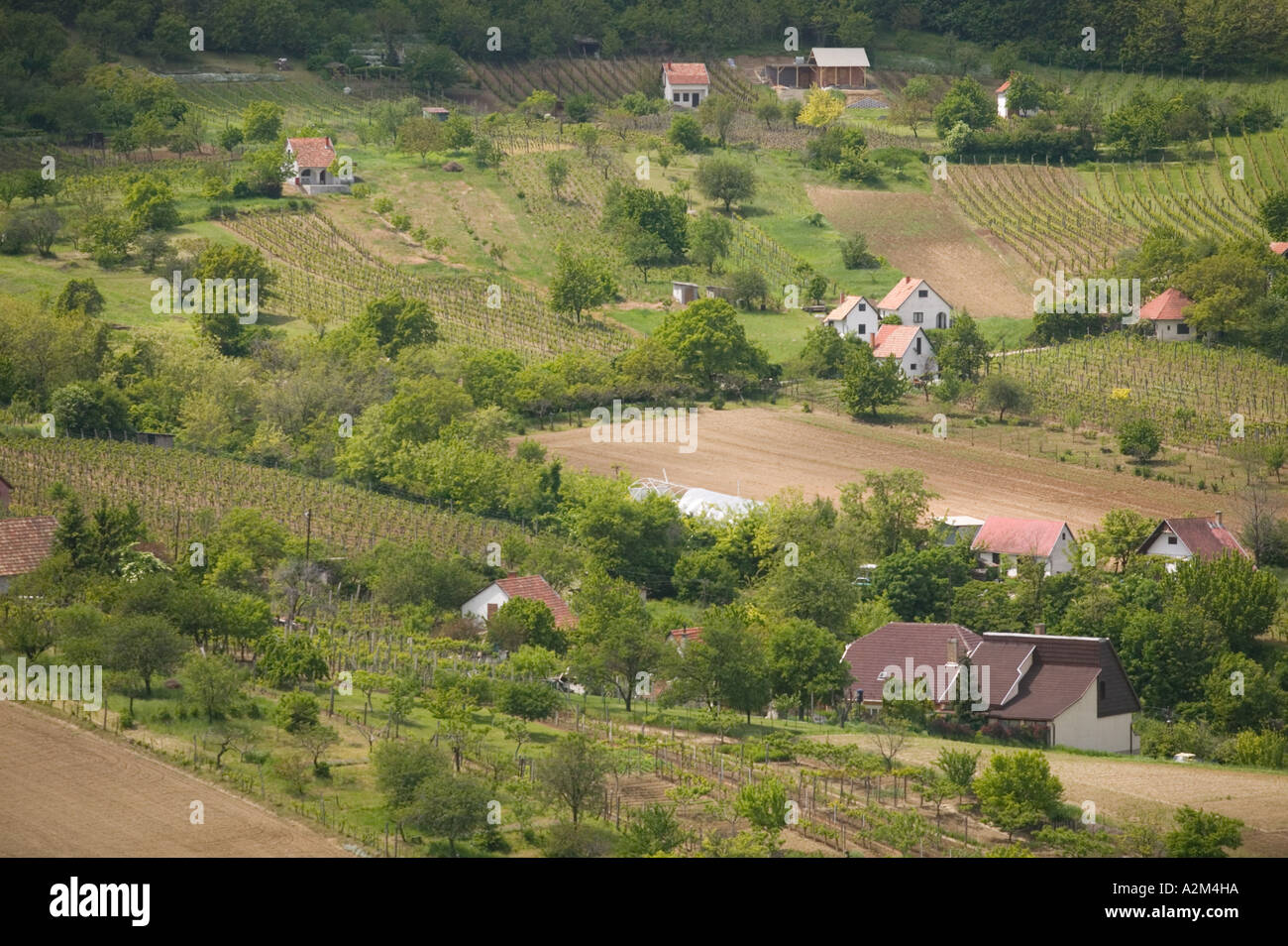 HUNGARY, Southern Transdanubia, SZEKSZARD: Vineyard View from Calvary ...