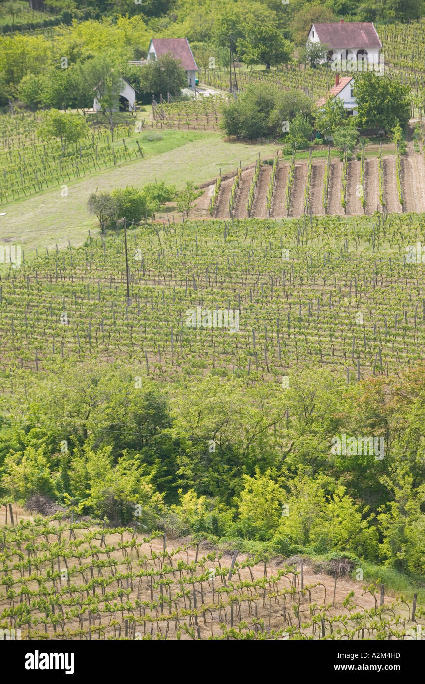HUNGARY, Southern Transdanubia, SZEKSZARD: Vineyard View from Calvary ...