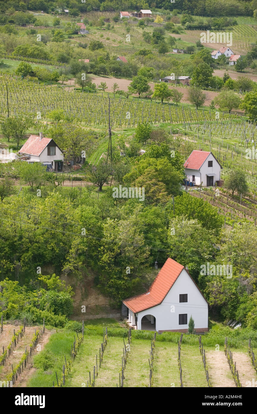 HUNGARY, Southern Transdanubia, SZEKSZARD: Vineyard View from Calvary ...