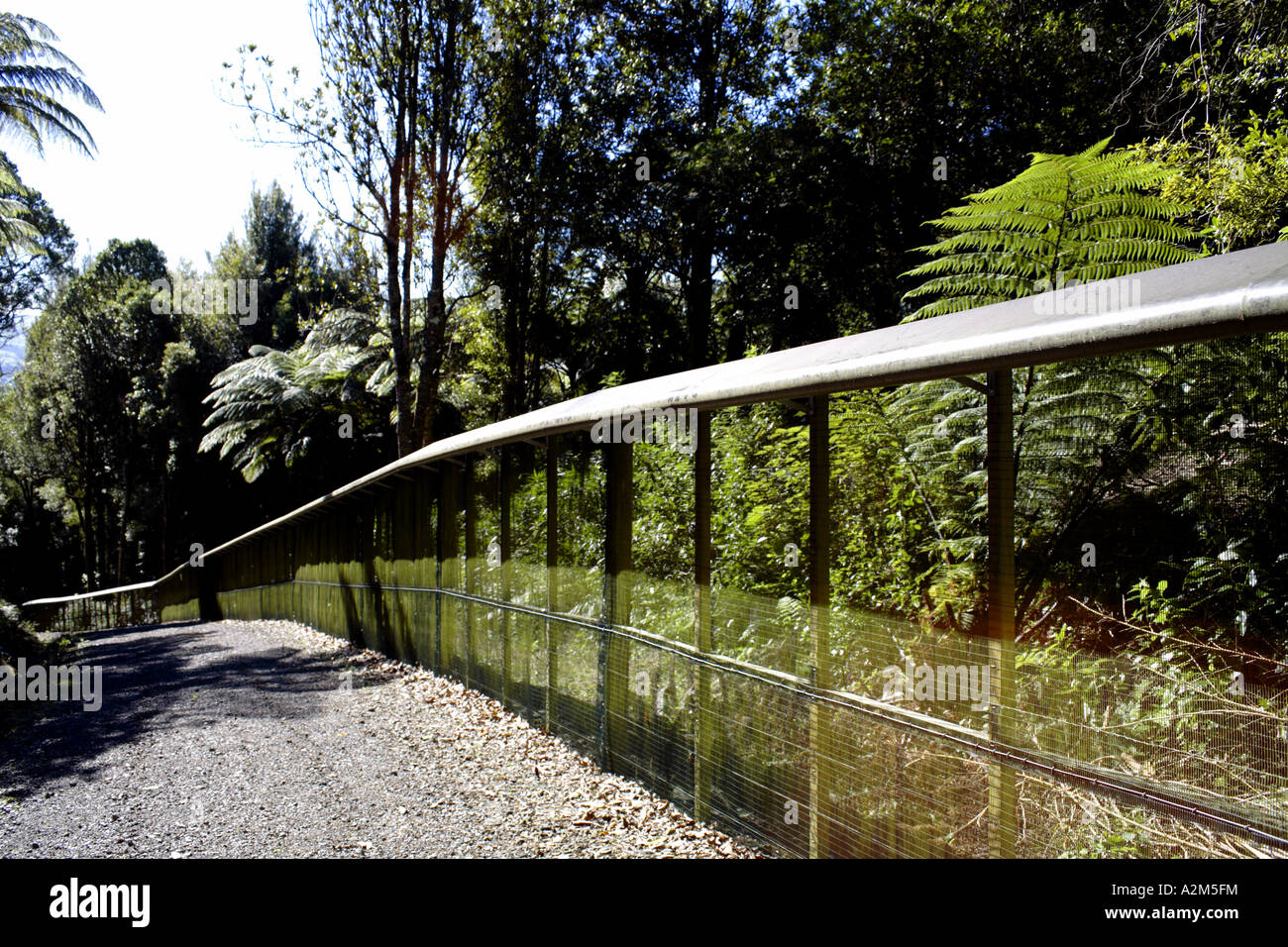 Pest-proof fence surrounding Maungatautari reserve Stock Photo - Alamy