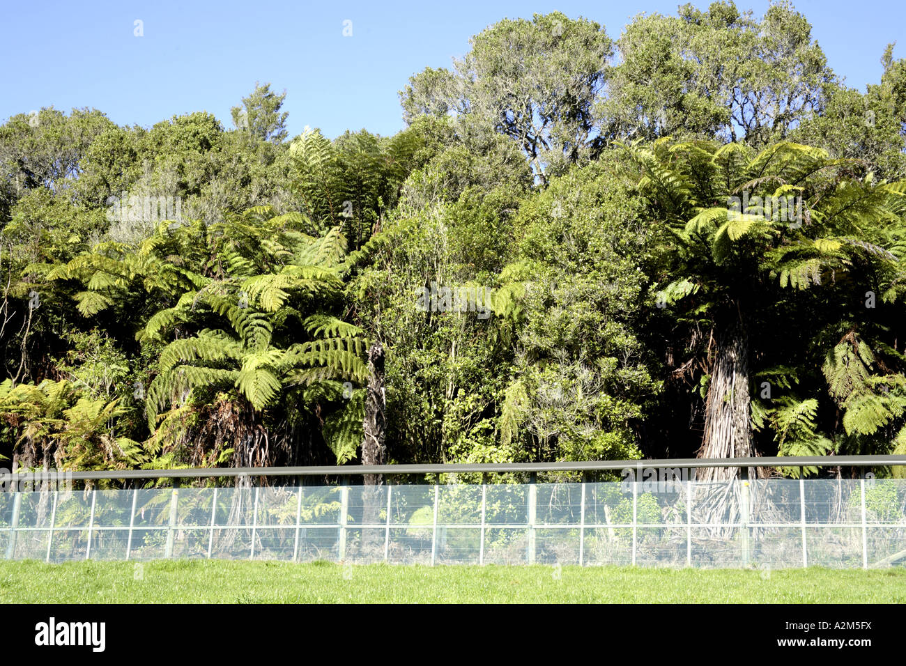 Pest proof fence hi-res stock photography and images - Alamy
