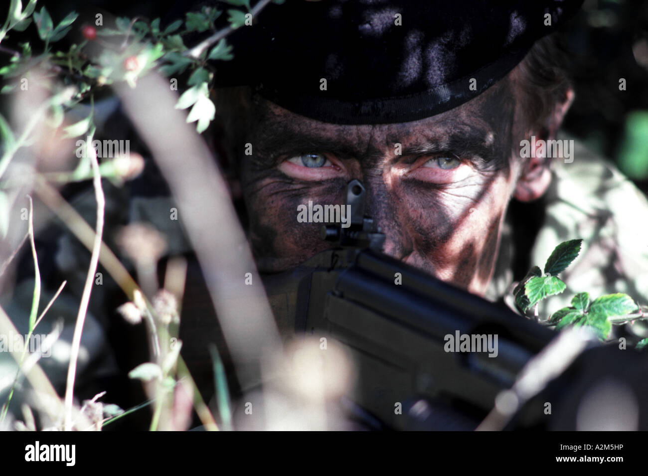 British army soldier exercise hi-res stock photography and images - Alamy