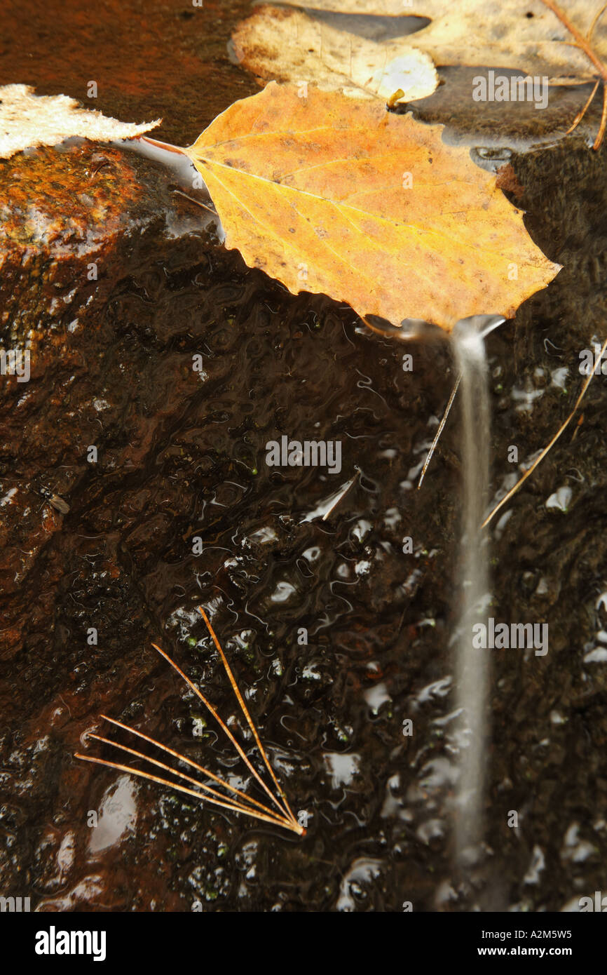 Water trickling over rock hi-res stock photography and images - Alamy