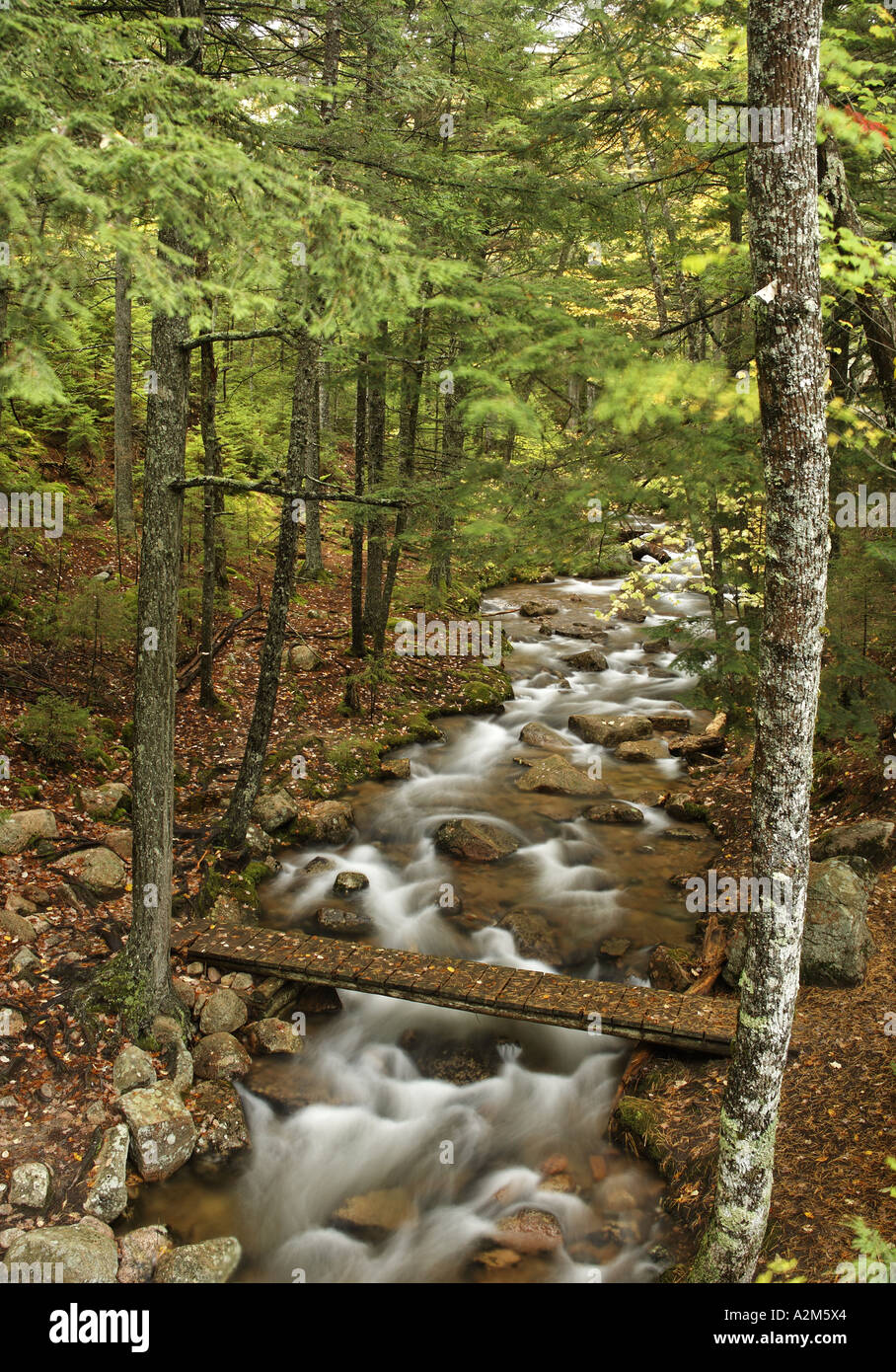 Traverse brook island hi-res stock photography and images - Alamy