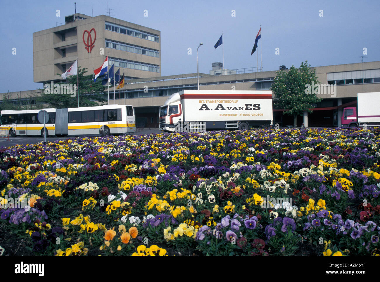 Aalsmeer auction house hi-res stock photography and images - Alamy