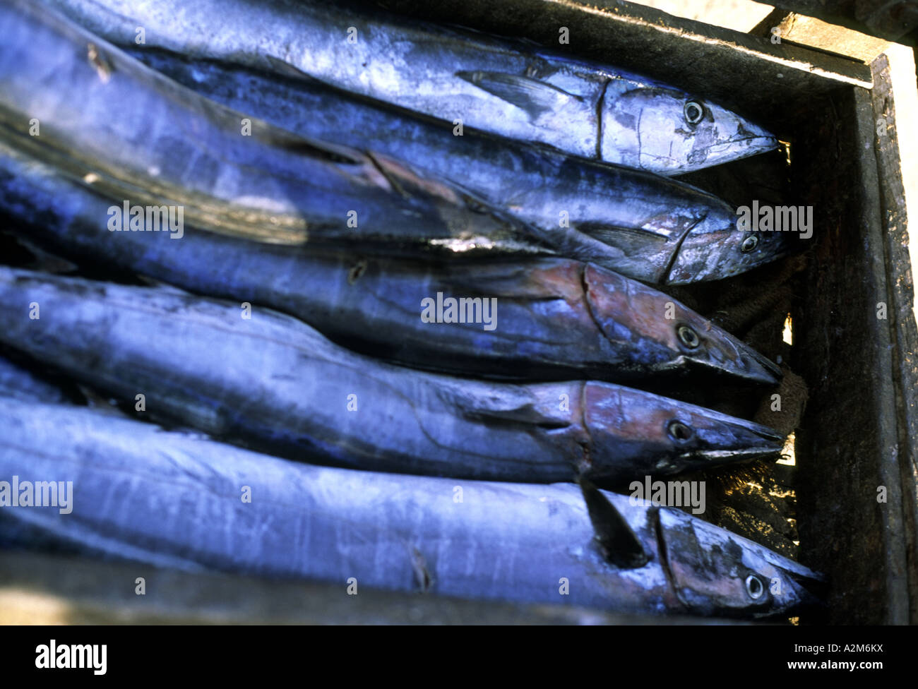 Kenya fish market hi-res stock photography and images - Alamy
