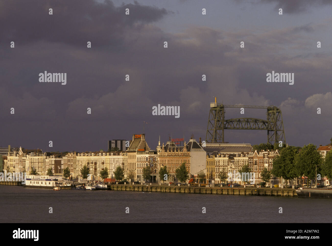 Europe, Netherlands, Rotterdam. Afternoon light on waterfront buildings ...