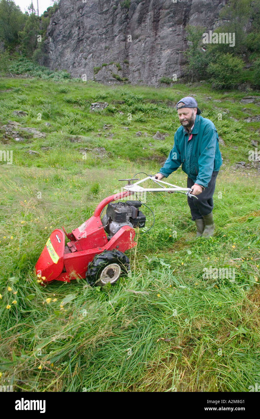 Hand mower hi-res stock photography and images - Alamy