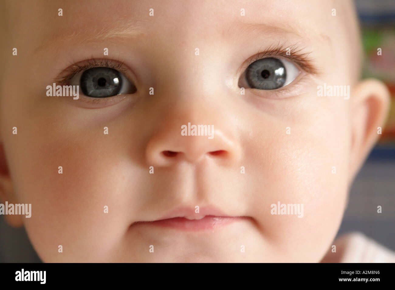 Face of baby girl Stock Photo - Alamy