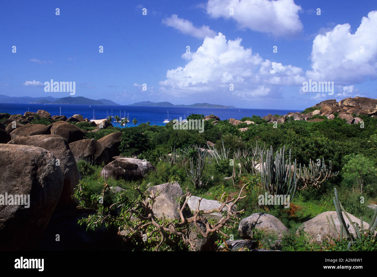 Beautiful rocks and landscape plants at The Baths of Virgin Gorda in ...