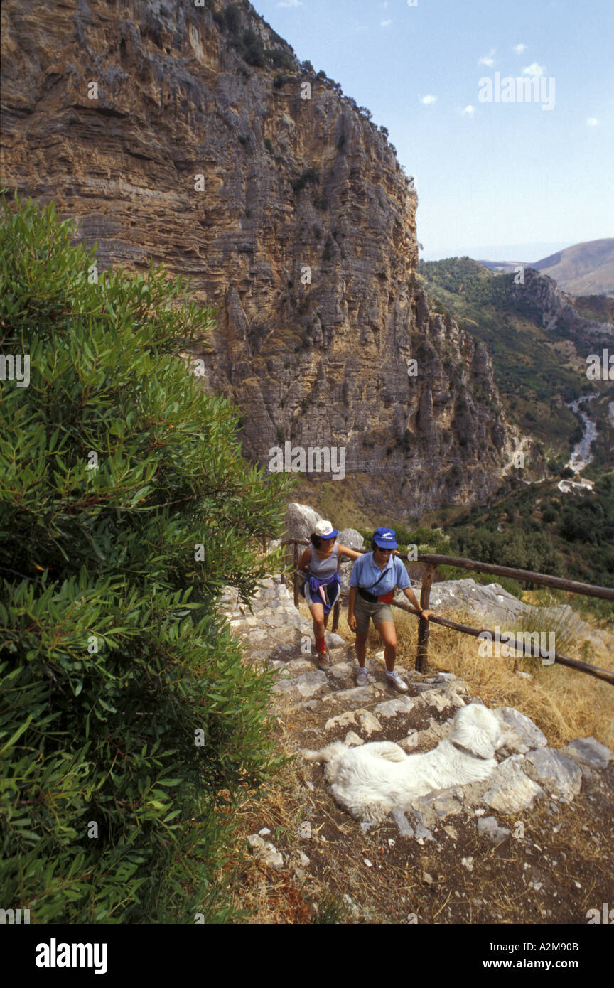 Belvedere flight of steps Stock Photo - Alamy