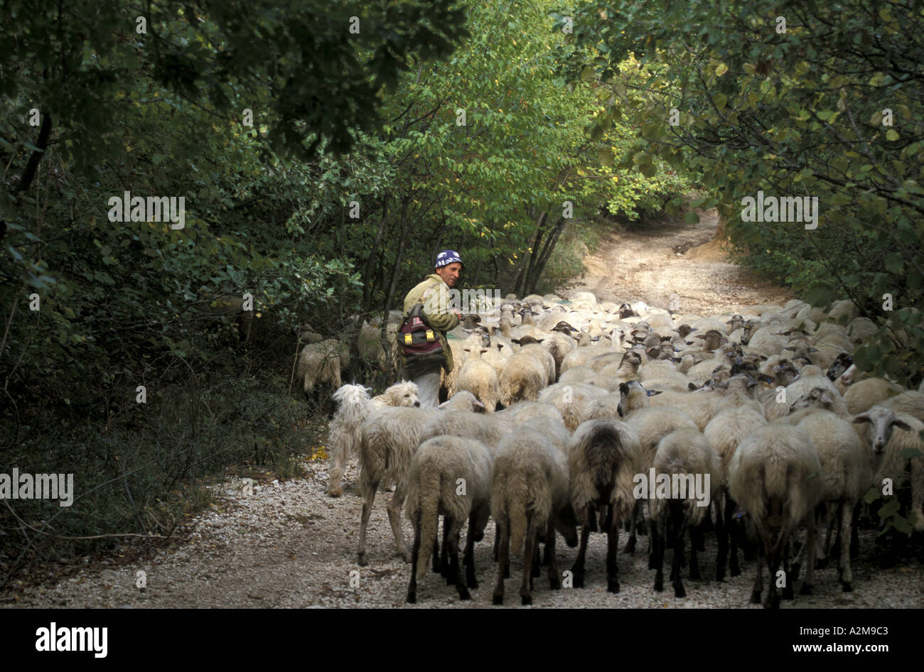 Ossoli hi-res stock photography and images - Alamy