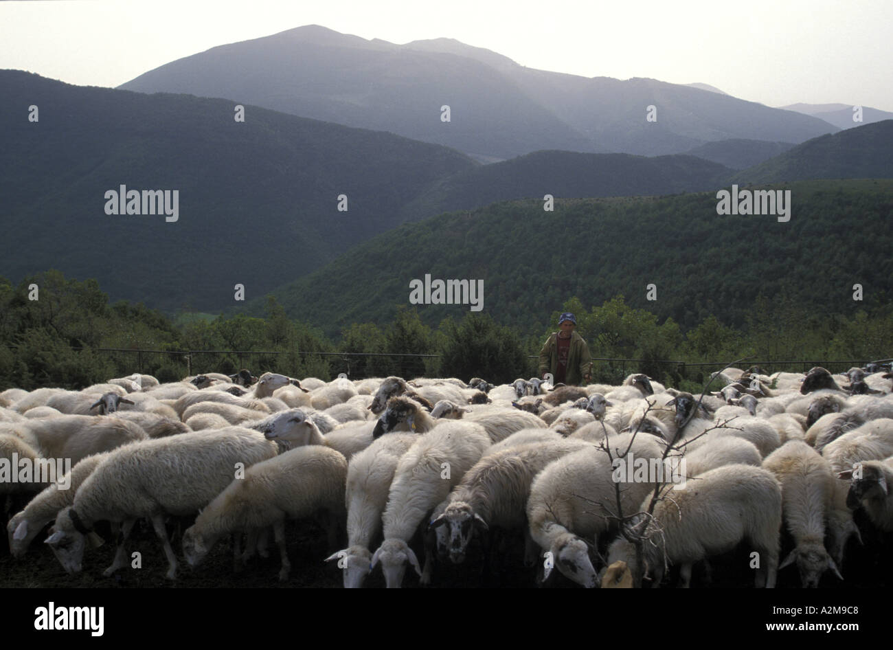 Ossoli hi-res stock photography and images - Alamy