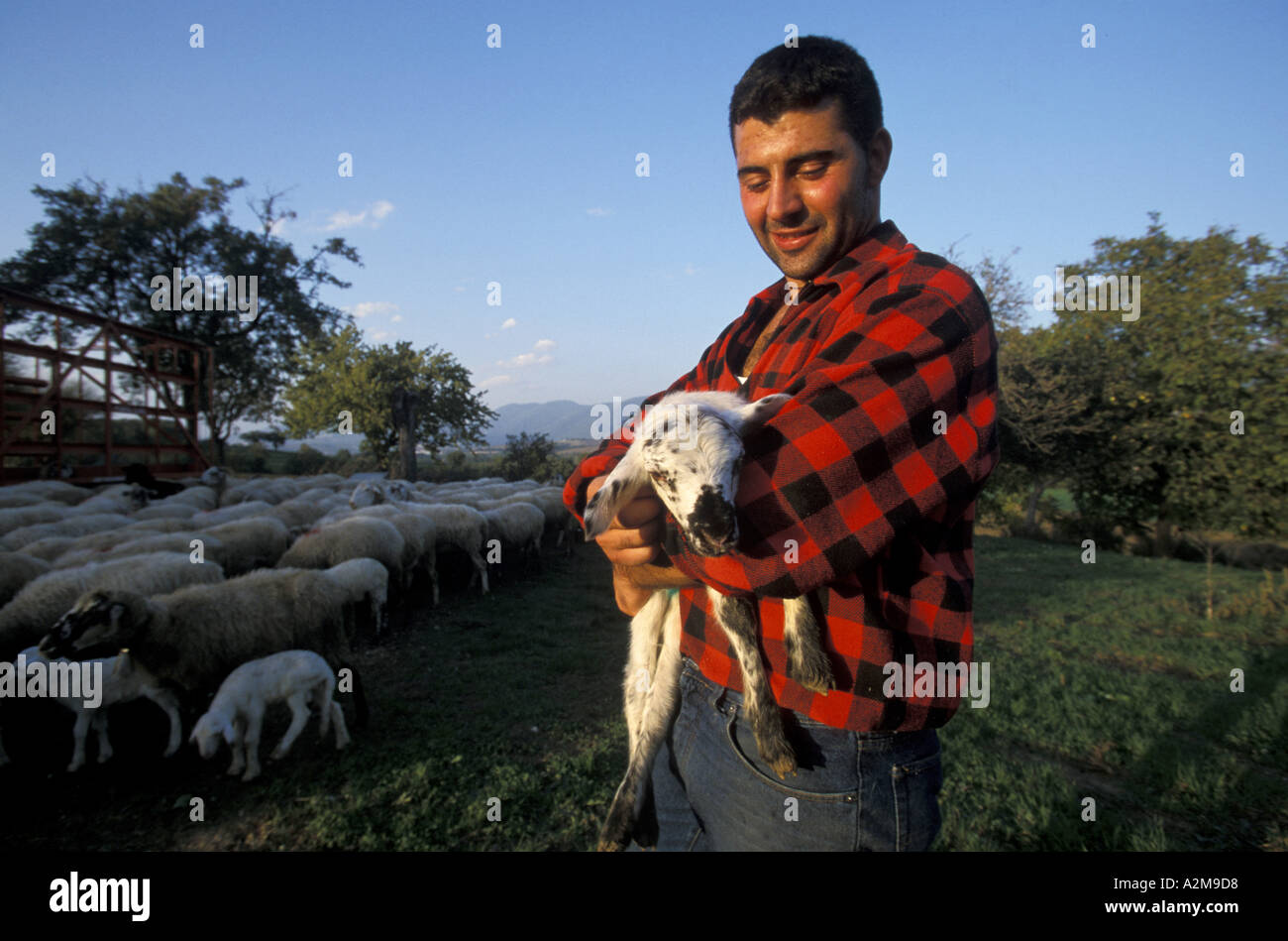 Ossoli hi-res stock photography and images - Alamy