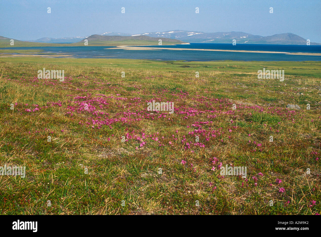 Chukotsky peninsula hi-res stock photography and images - Alamy
